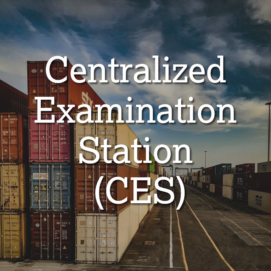Lean on Salson’s Centralized Examination Station (CES) Services at Port ...